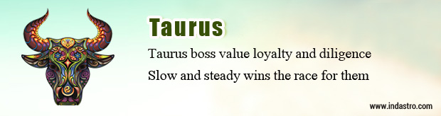 Taurus Boss - personality