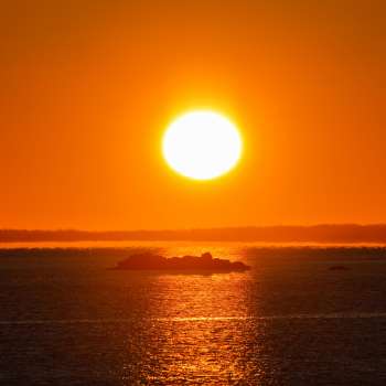 Sun in Leo– Astrological Insights