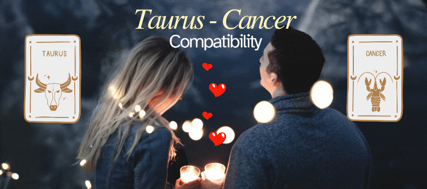 Taurus Cancer Match in Love and Marriage – Indastro