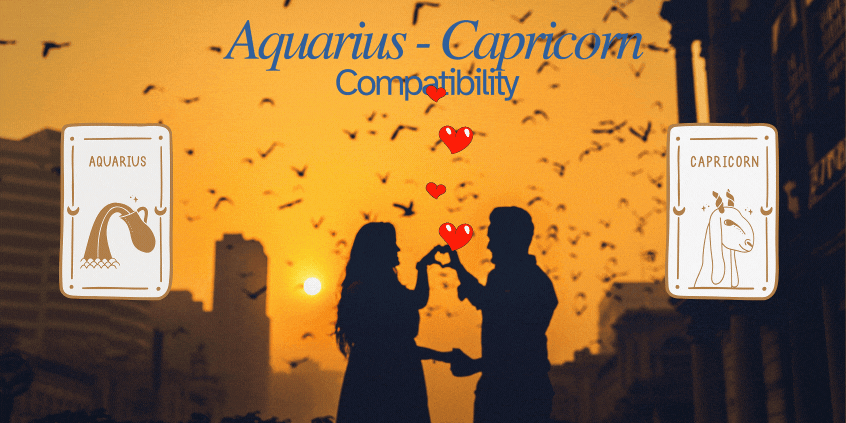 Zodiac signs compatibility capricorn and aquarius 60 photos ...